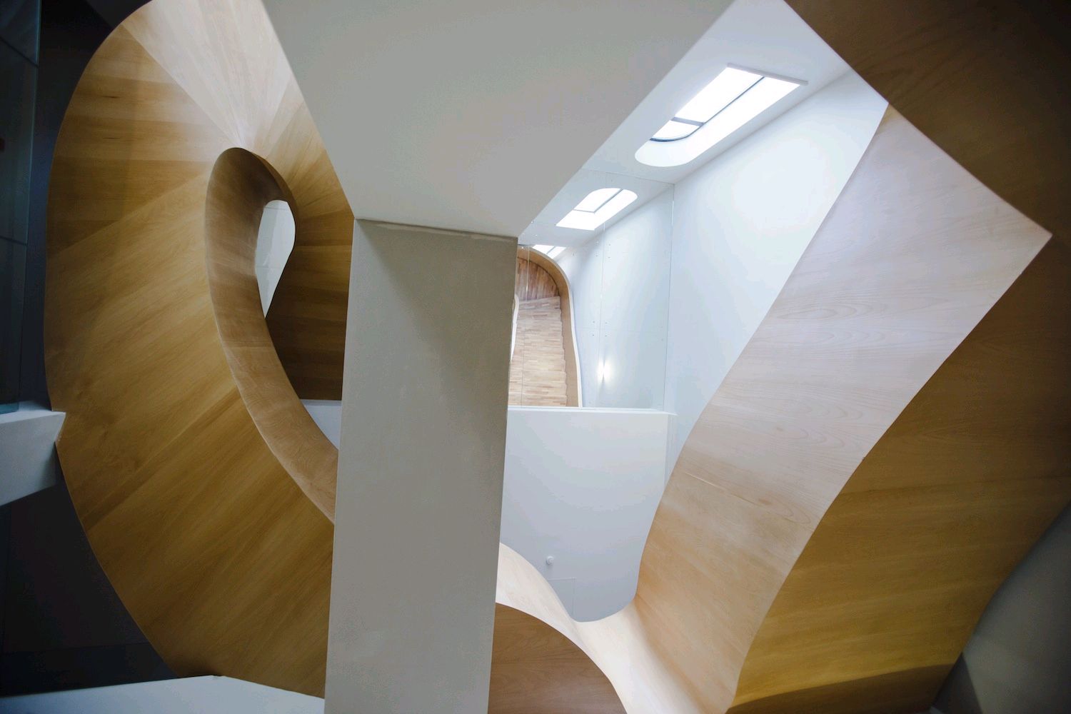 National Olympic Committee House | Architects of Invention | Archello