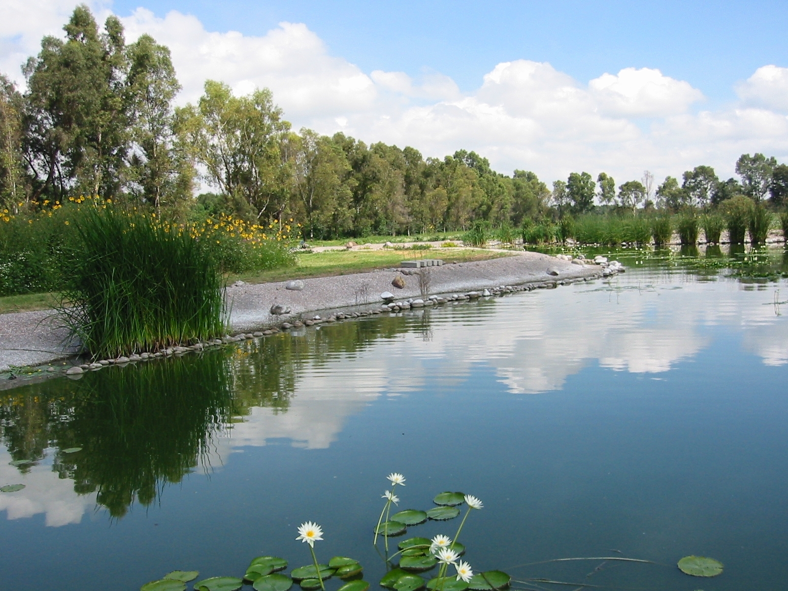 Xochitla Ecological Park | paisaje radical | Archello