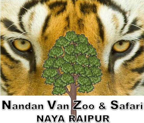 NANDAN VAN ZOO AND SAFARI NAYA RAIPUR | Learn Nature Consultants | Archello