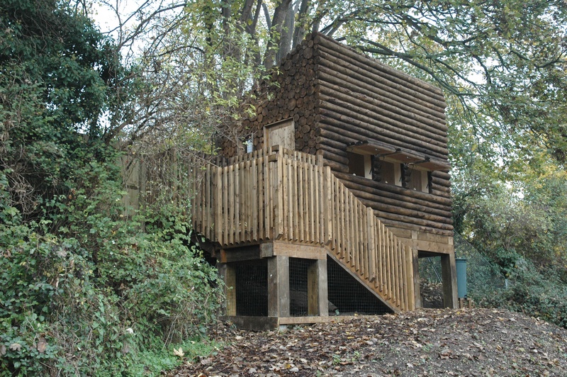 Fairfield Infant School Eco-classroom | Blue Forest | Archello