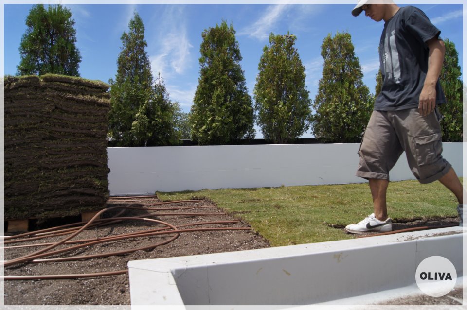 Techo Verde Laboratorio Biopharma | Estudio Oliva | Archello