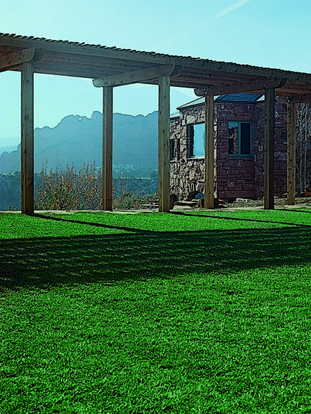 Grasspave2 by Invisible Structures | Archello