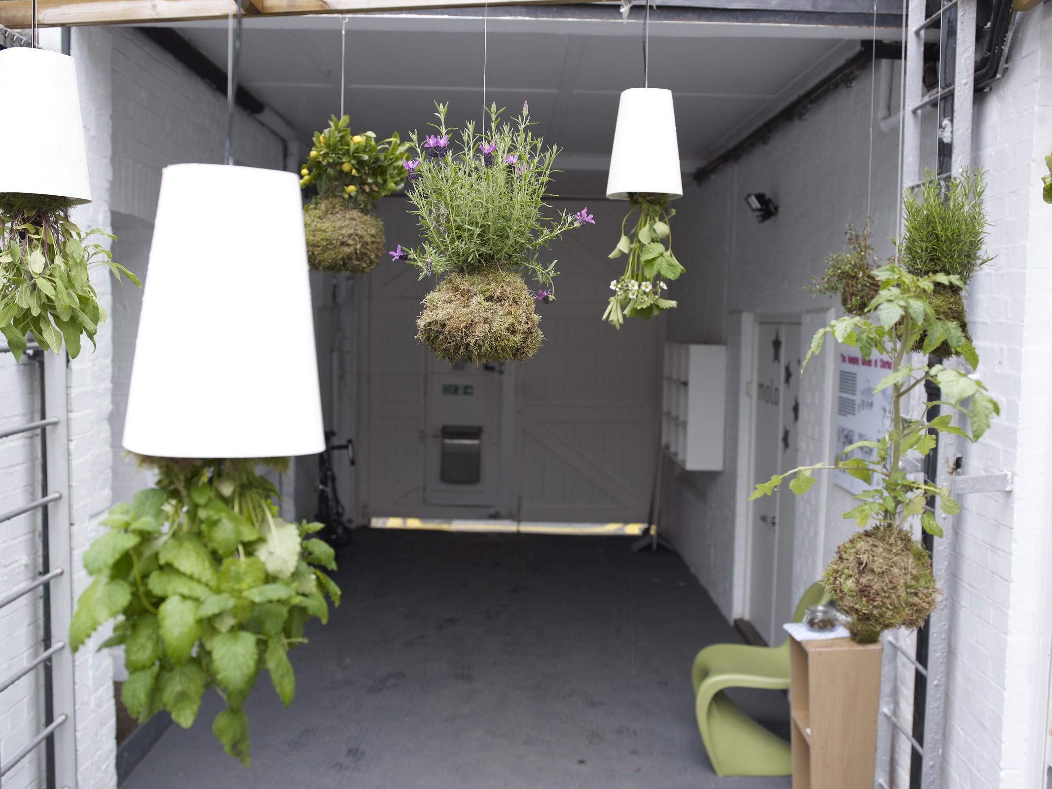 The Hanging Garden of Clerkenwell | elips design | Archello