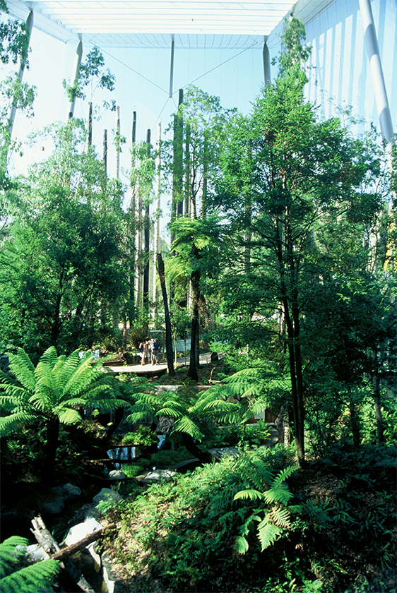 The Forest Gallery | T.C.L - Taylor Cullity Lethlean | Archello