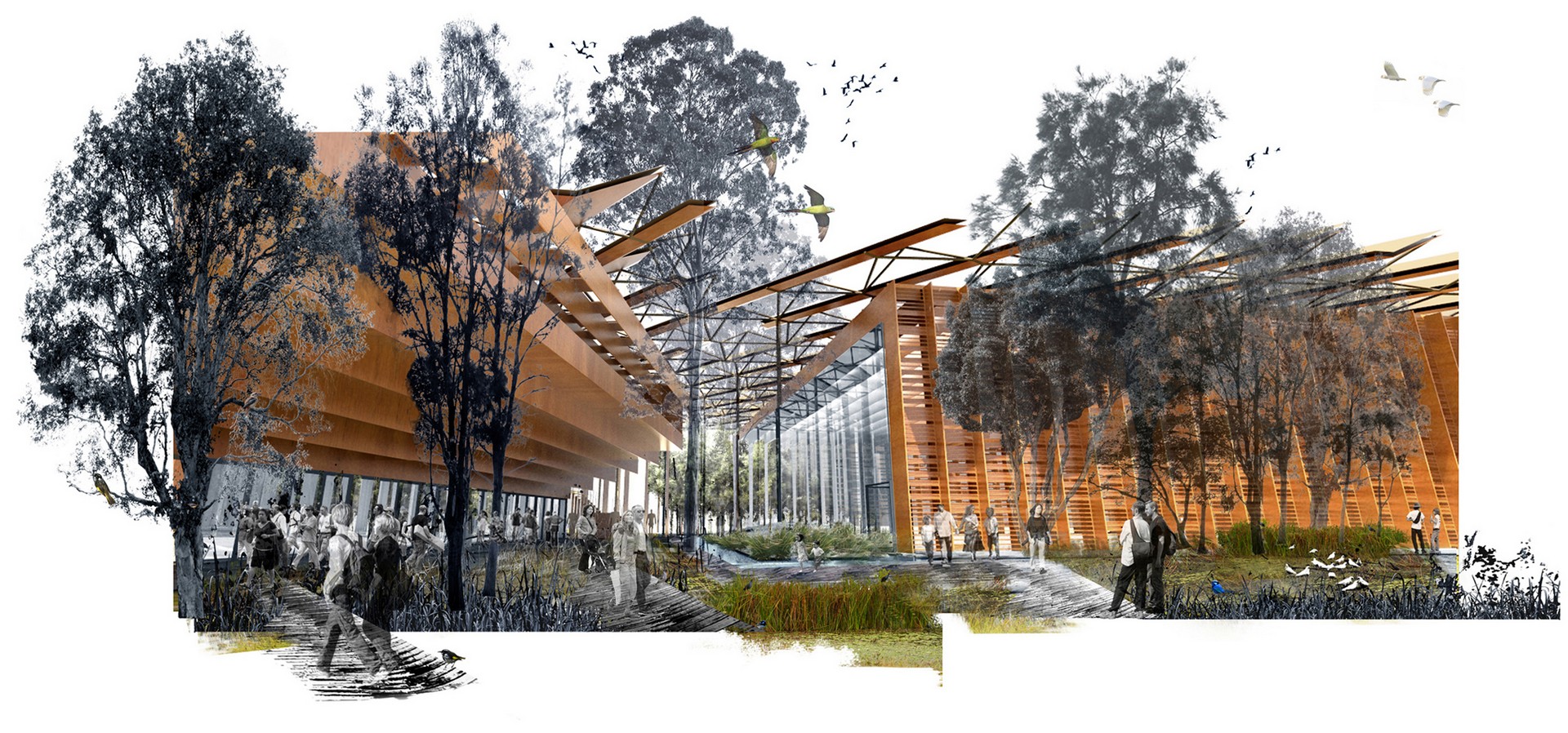 Perry Park Design Competition | Hassell | Archello