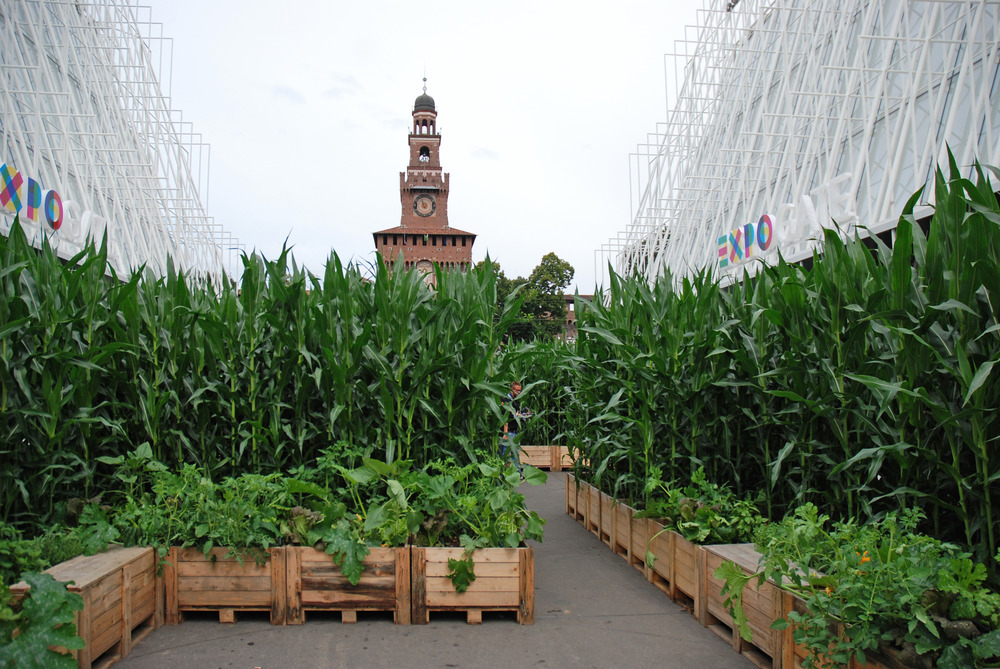 A pop-up field in the centre of the city | A4A Rivolta Savioni ...