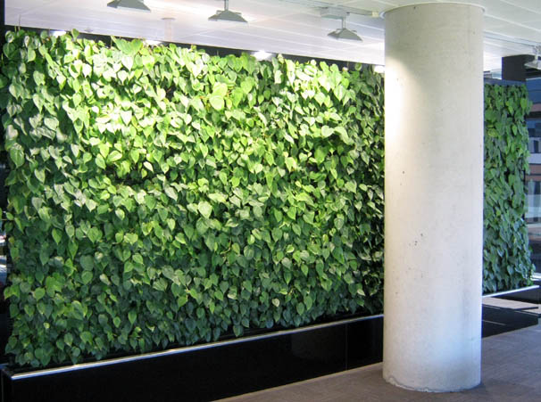 Green Wall por KHD Landscape Engineering Solutions | Archello