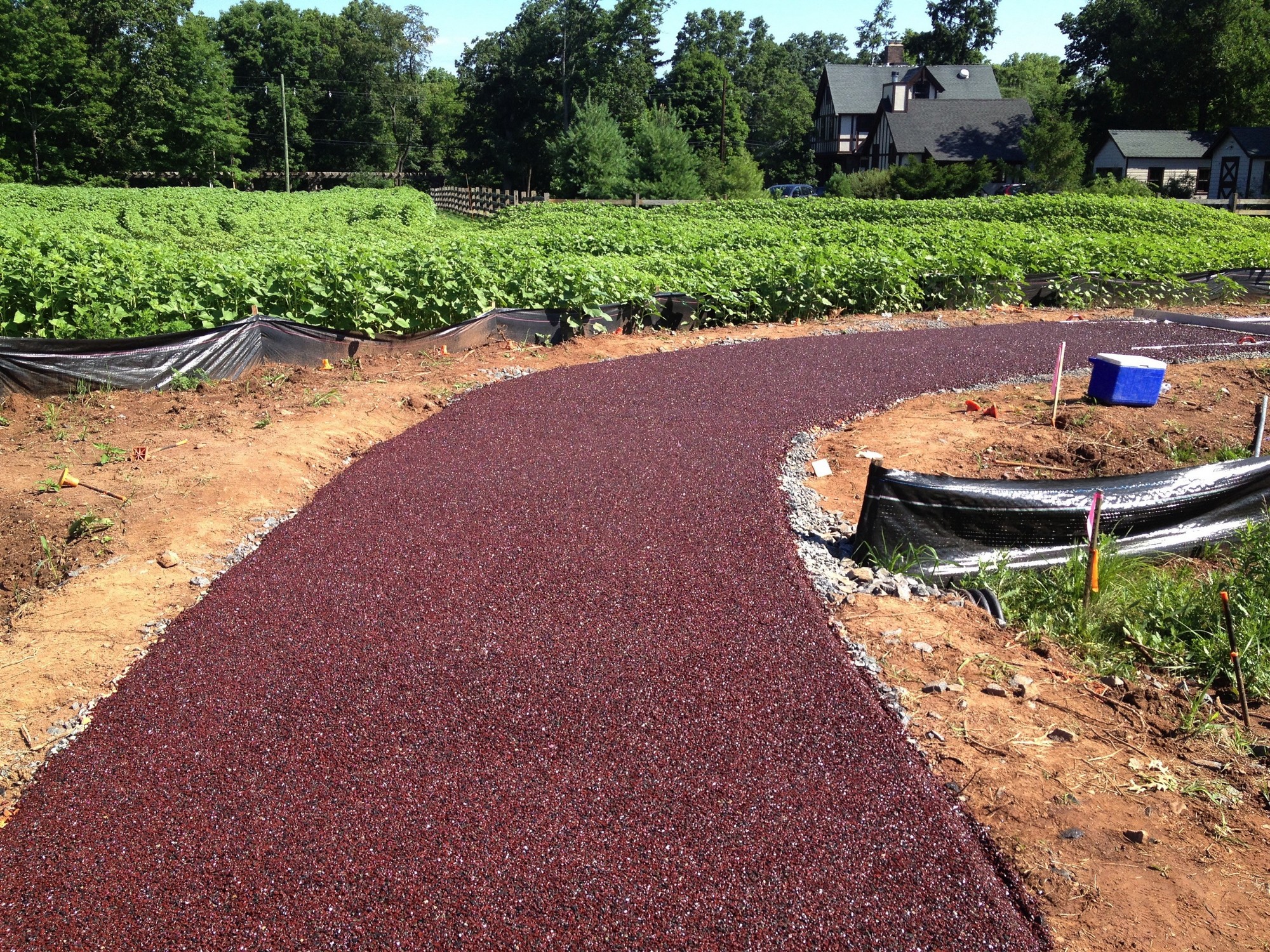 PATHWAYS by Porous Pave Ontario | Archello