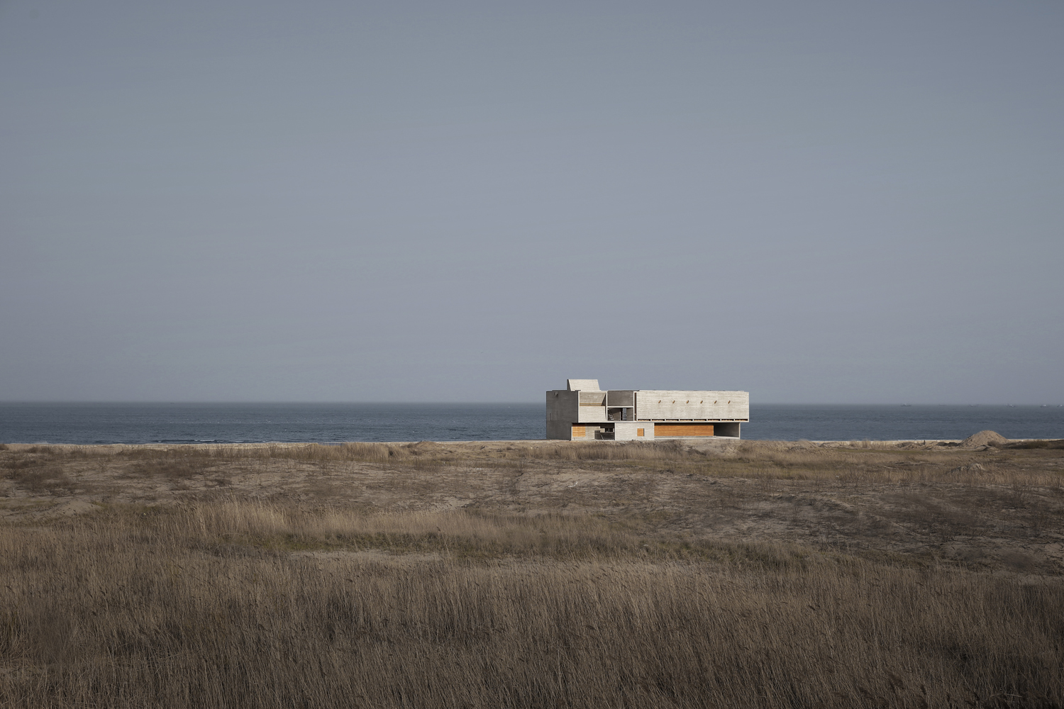 Seashore Library | Vector Architects | Archello