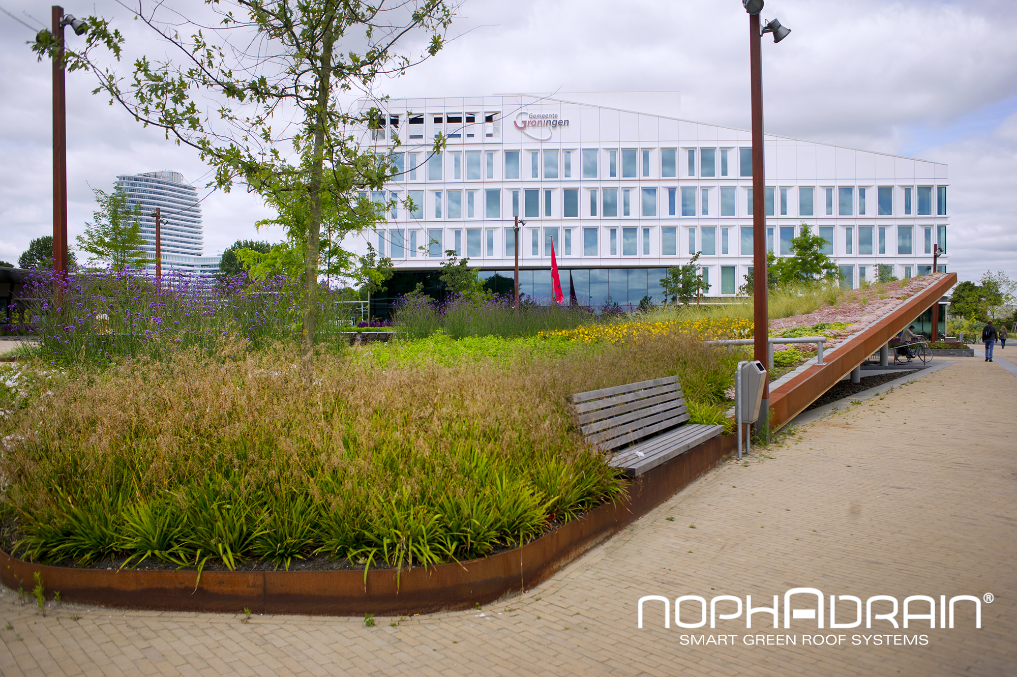 Extensive Green Roof System da Nophadrain | Archello