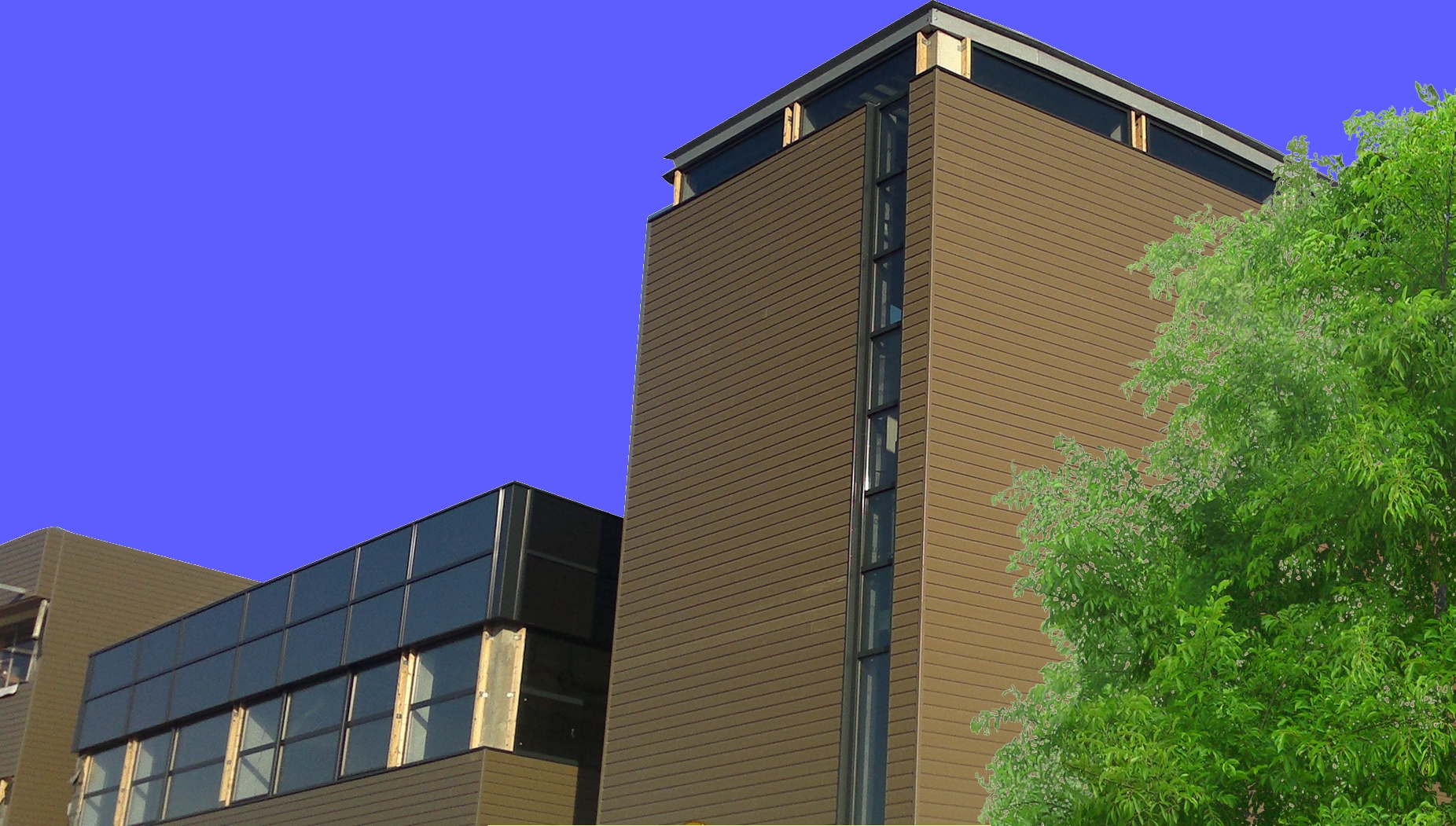 Wood fireproof siding by FP BOIS | Archello