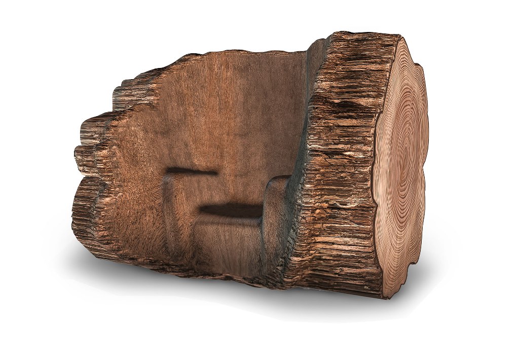 Tree Trunk Chair van Maarten Baas | Archello