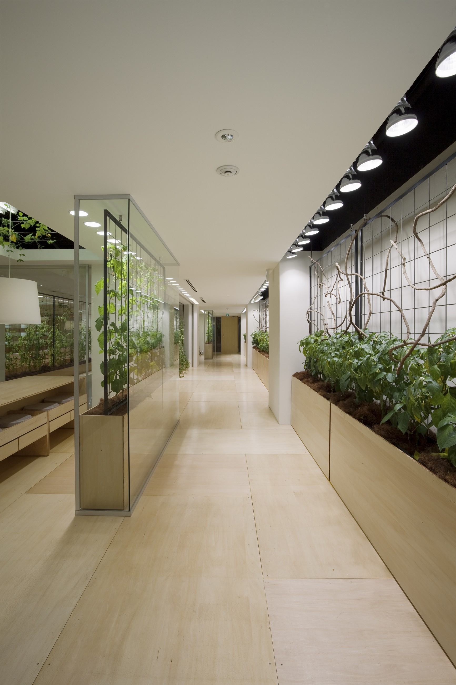 Gallery of Pasona H.Q. | Kono Designs | Media - 28