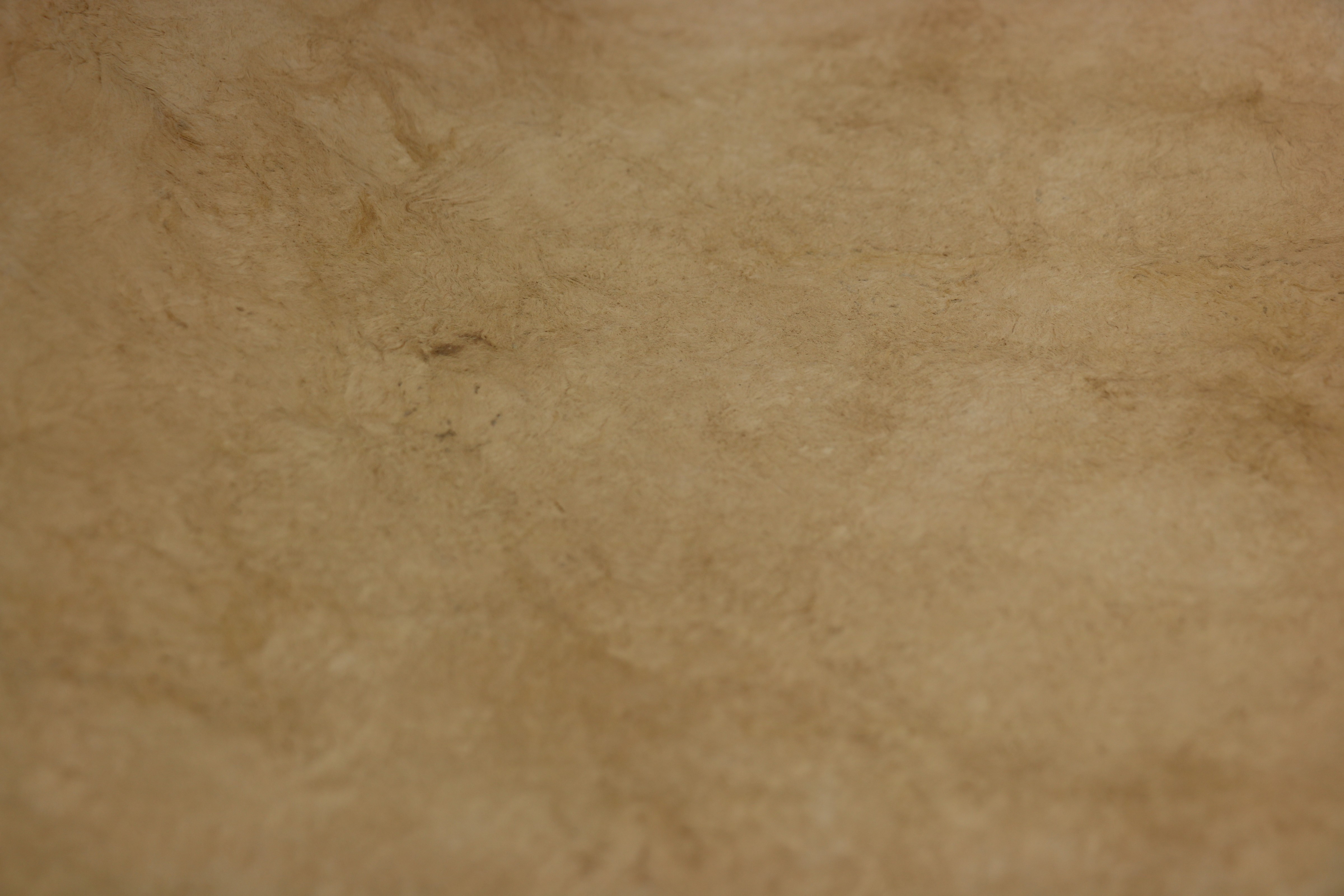 Palomino Barkskin by Barkskin / CABA Company | Archello