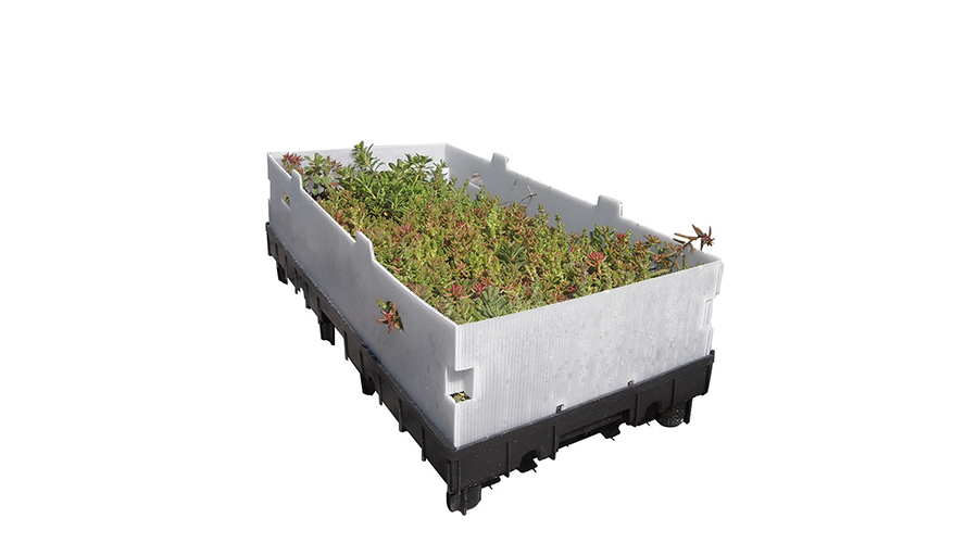 Reed Beds | Renewable energy systems | Archello