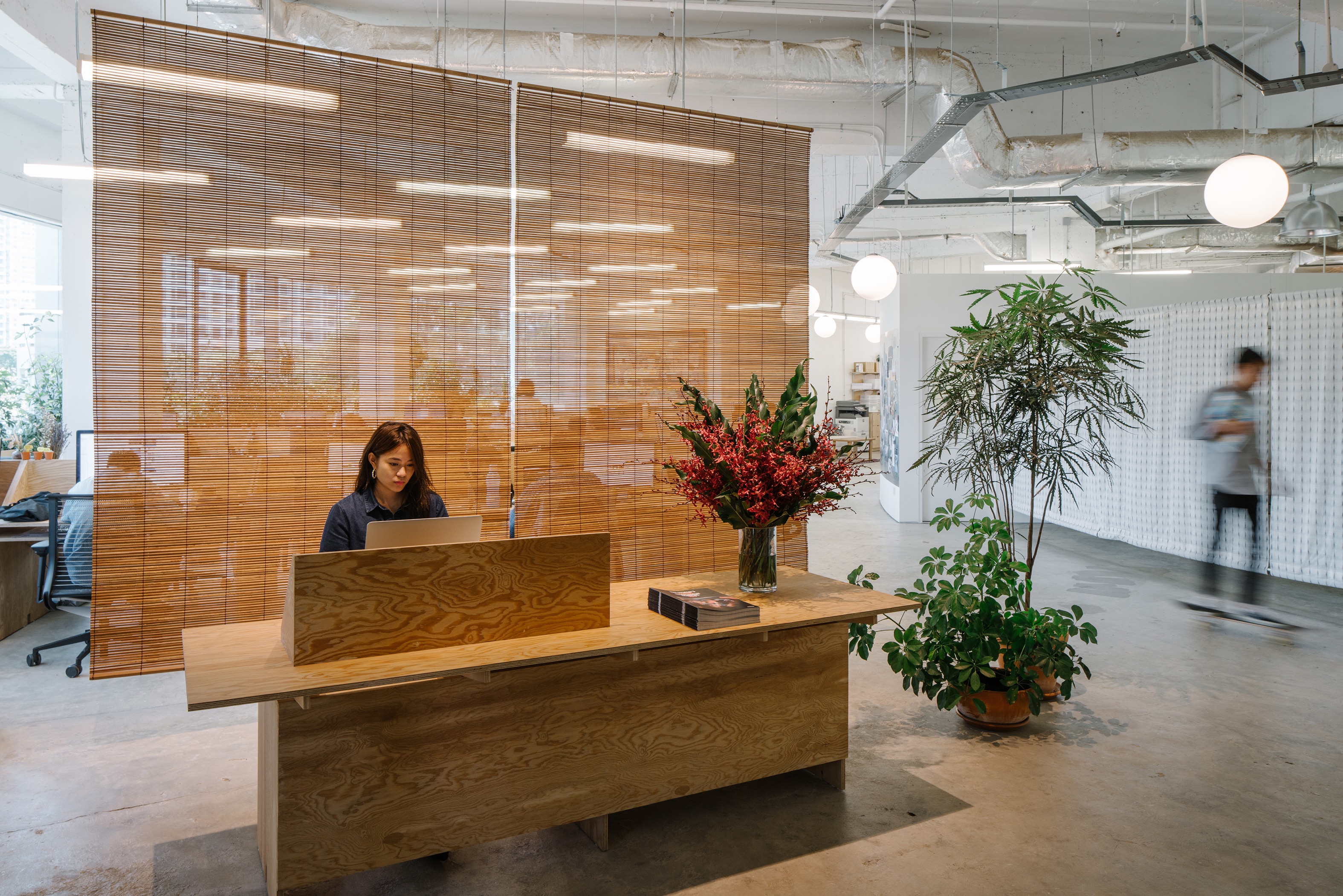 Gallery of The Secret Little Agency | The Secret Little Agency | Media - 2