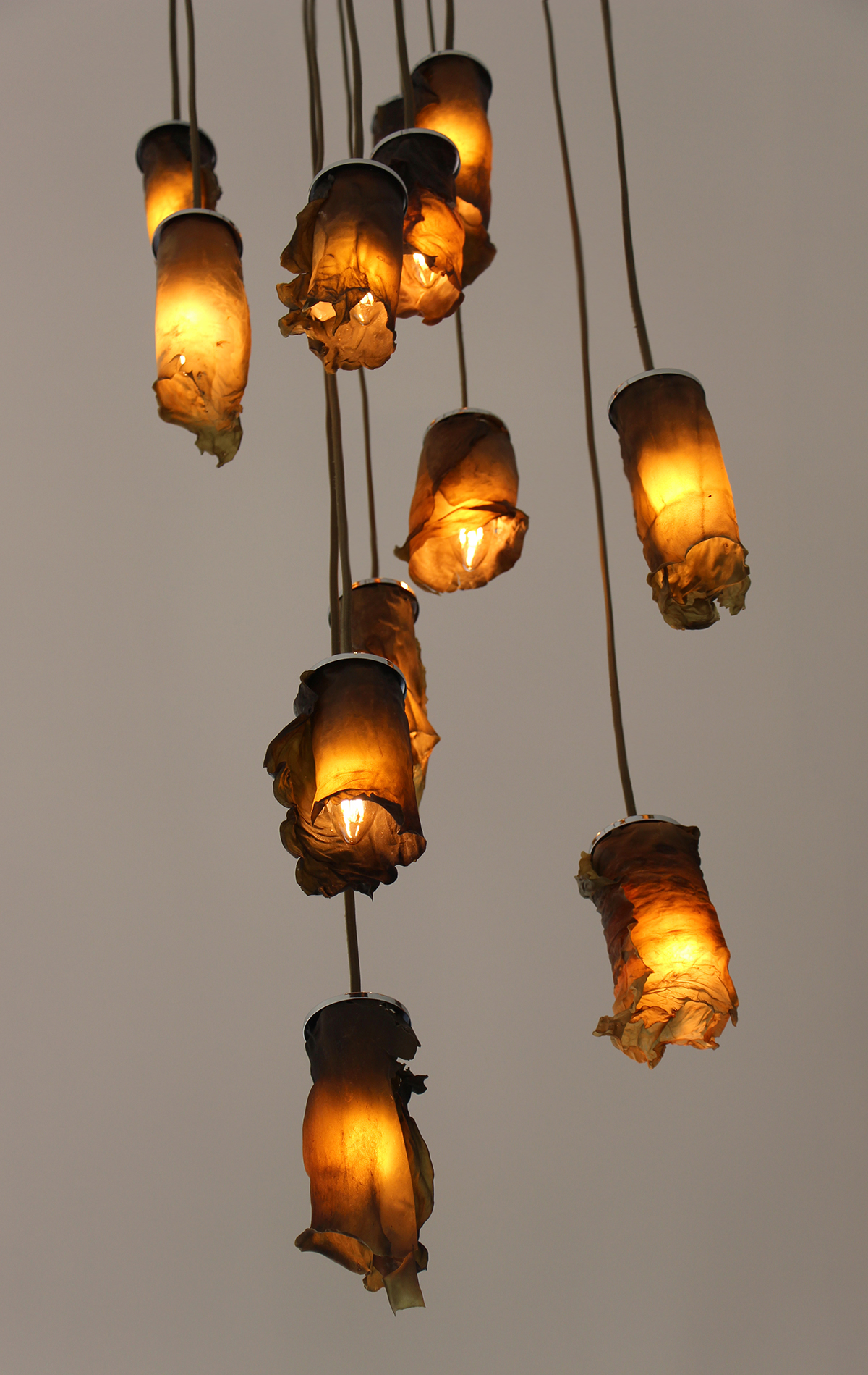 Algae Lamps por Nea Studio | Archello