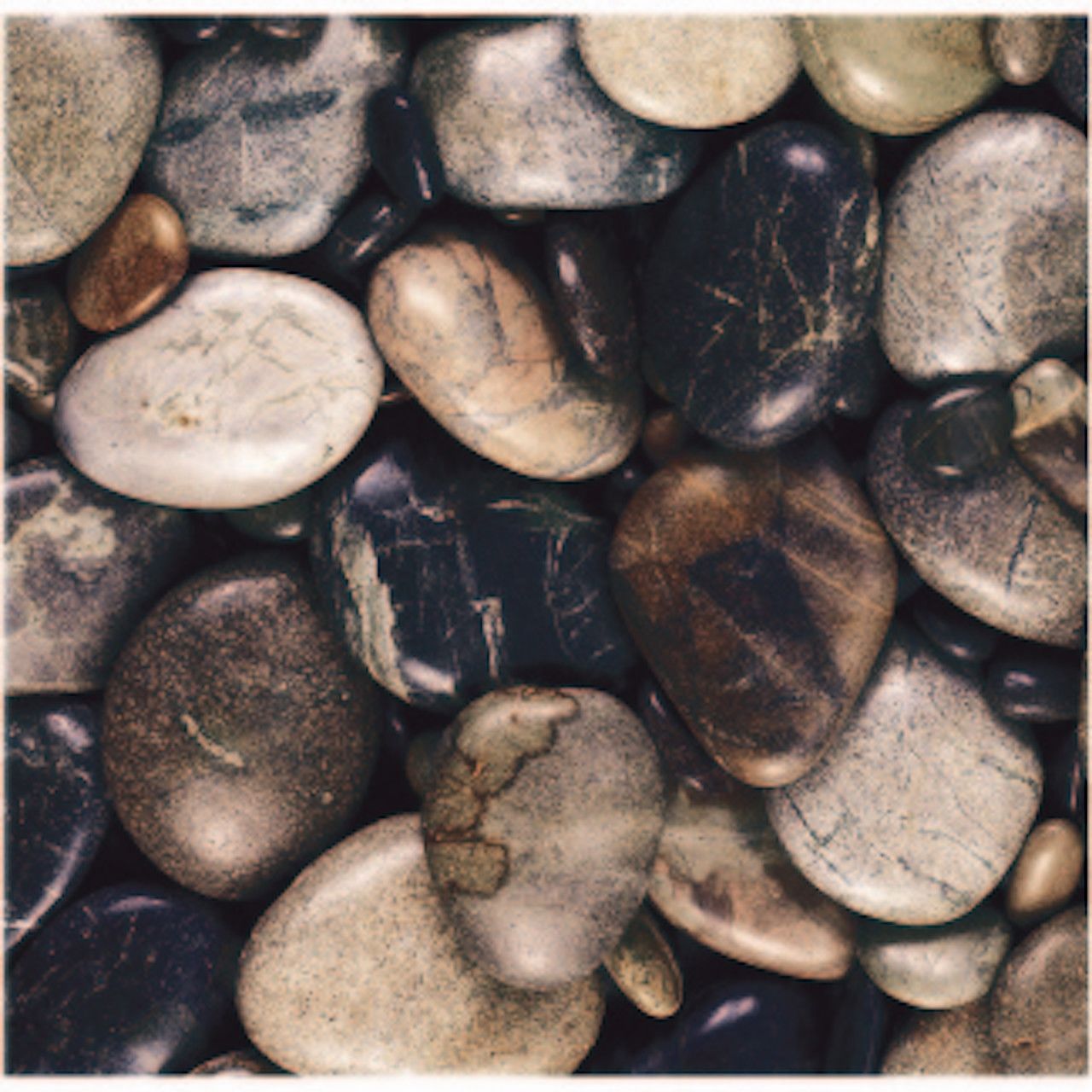 Nature Tile Collection by Imagine Tile | Archello