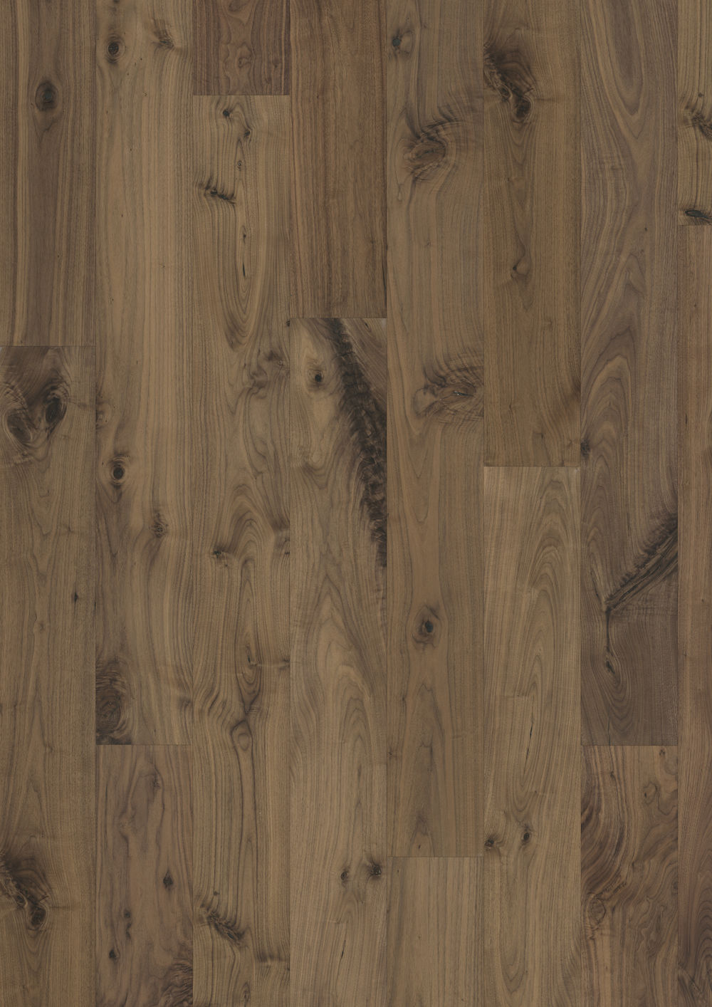 WALNUT - ORIGINS COLLECTION by Forestry Timber Export® | Archello