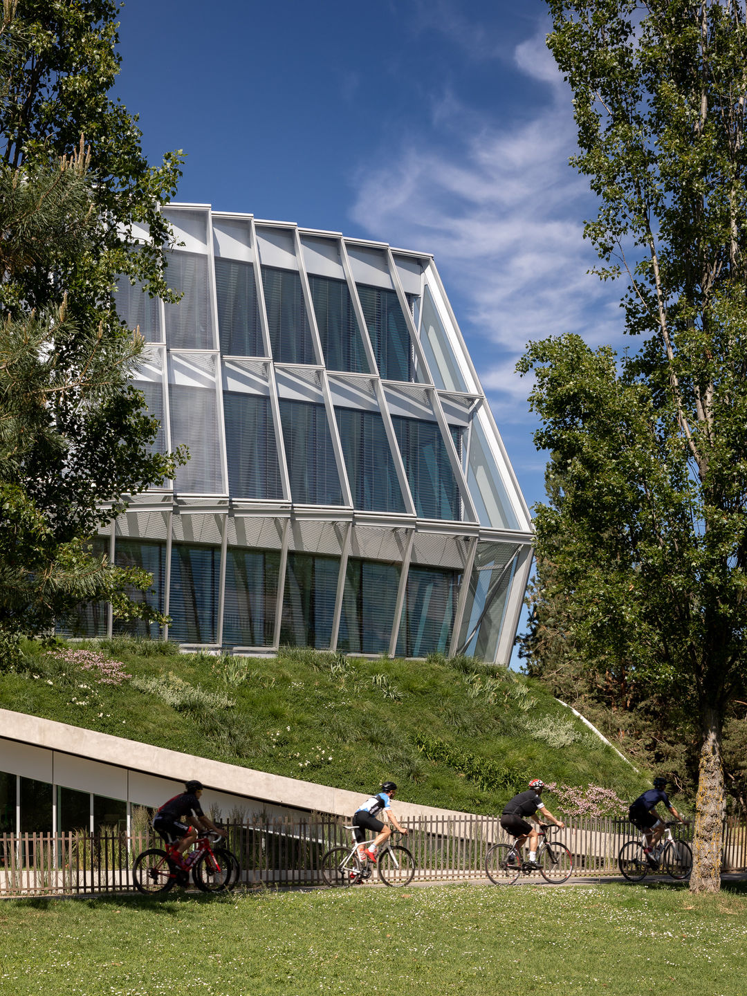 Gallery of Olympic House | 3XN | Media - 54