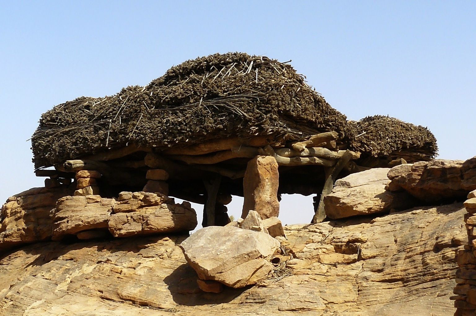 Gallery of Xylem | Kéré Architecture | Media - 8