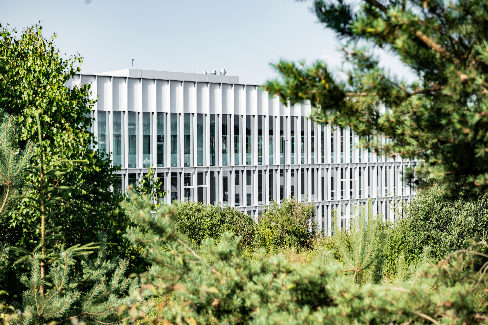 Production Hall Schramberg | Barkow Leibinger | Archello