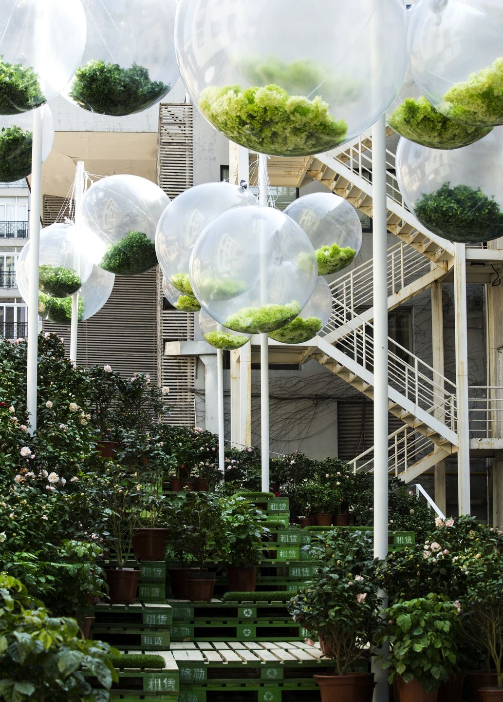 Urban Bloom | AIM ARCHITECTURE | Media - Photos and Videos - 4 | Archello