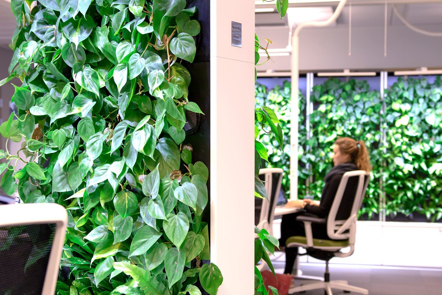 Naava Green Healthtech Wall with efficient air purifying system by ...
