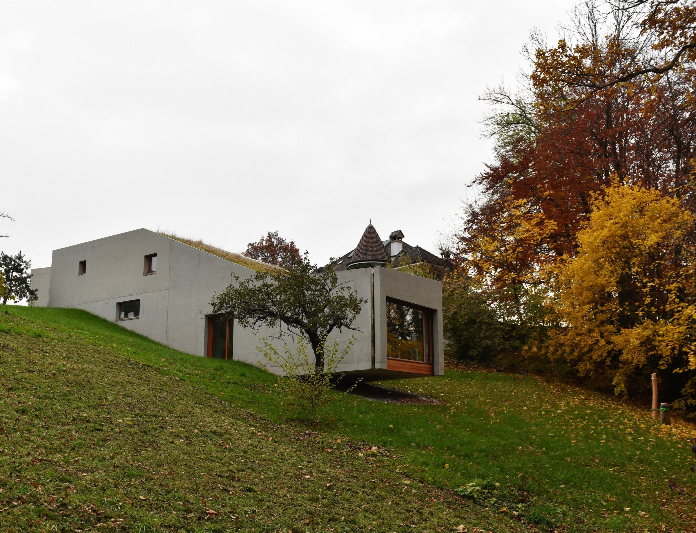 lizard house | LINK architectes SA | Archello