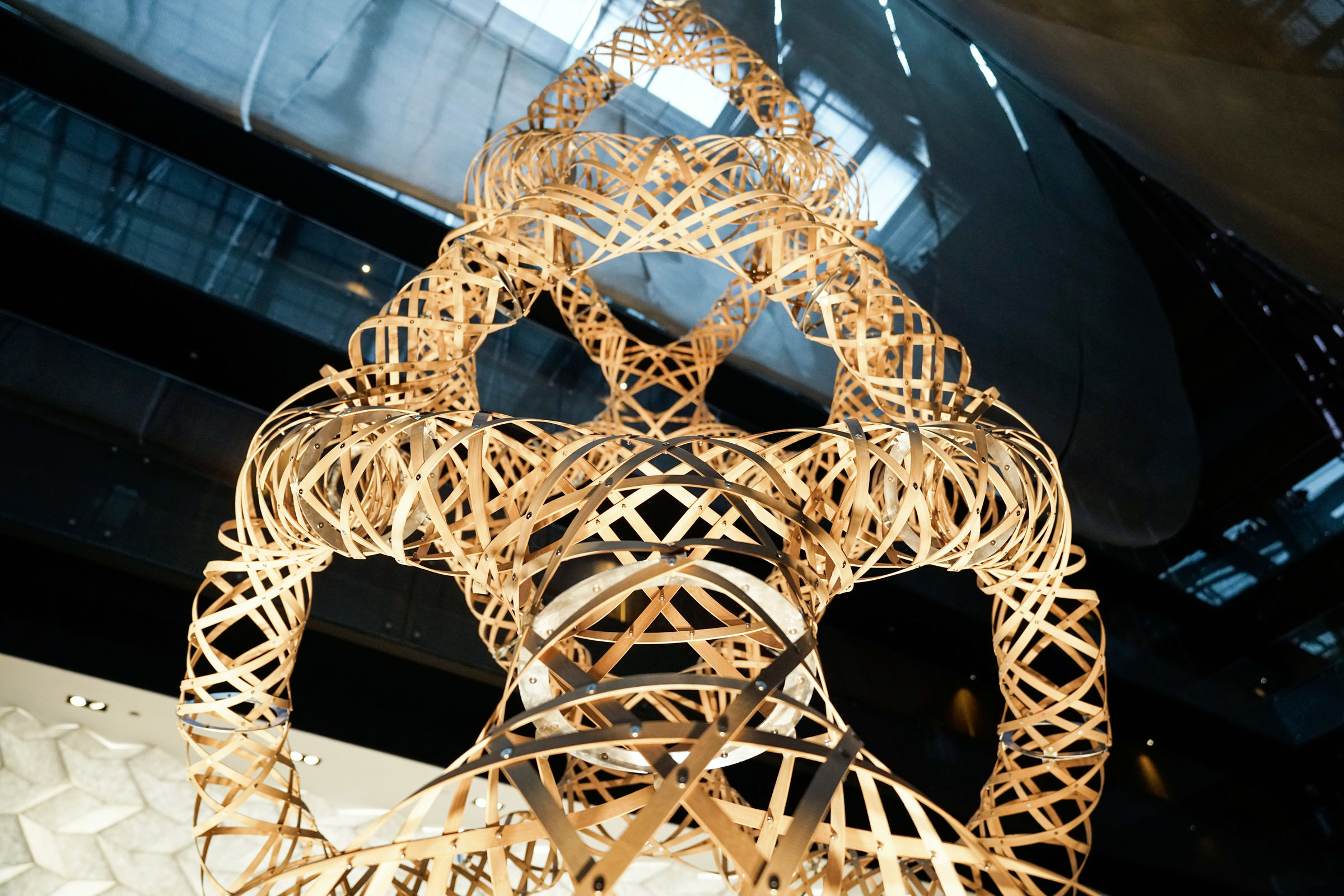 Woven Grove | AntiStatics Architecture | Archello