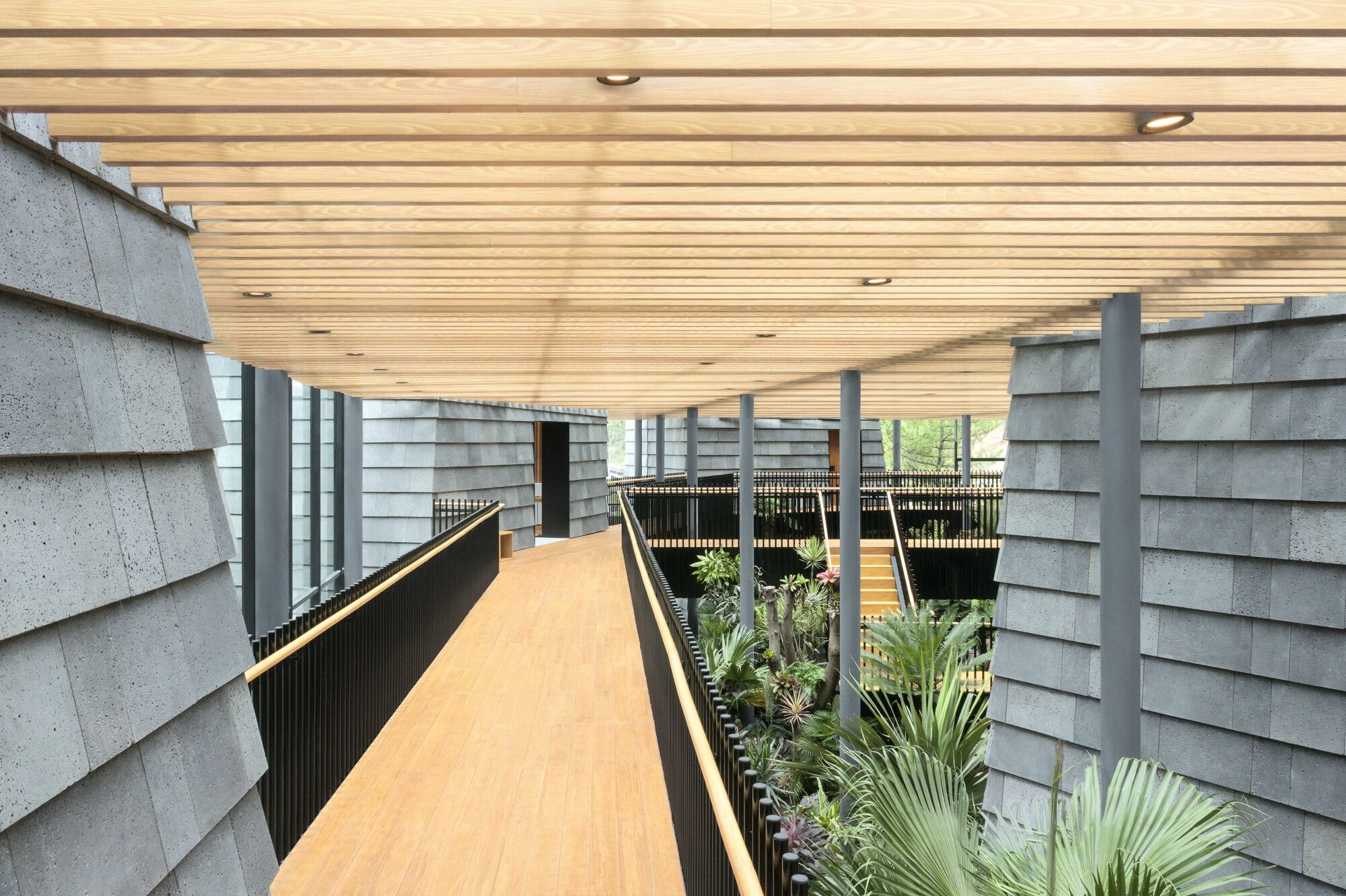 Gallery of Forest Valley Hot spring Center | B.L.U.E. Architecture ...