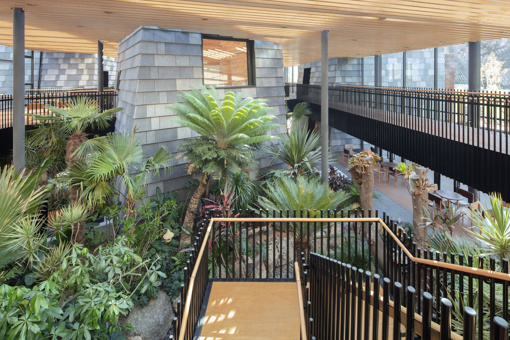 Gallery of Forest Valley Hot spring Center | B.L.U.E. Architecture ...