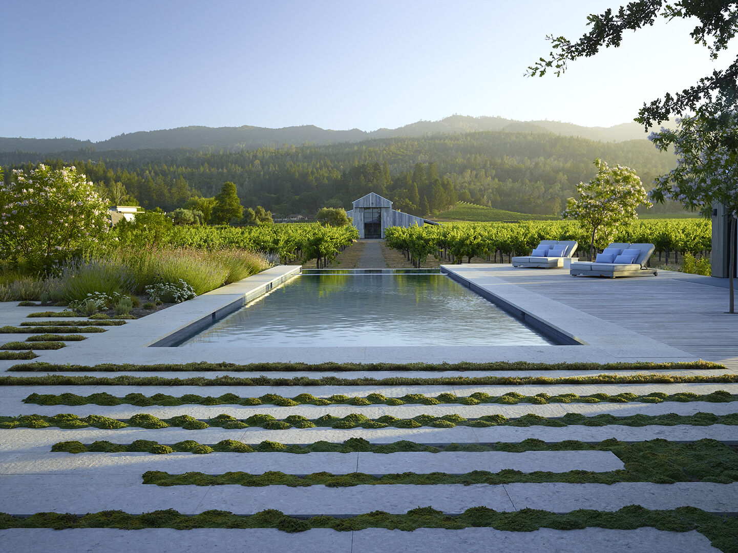 Zinfandel Lane Garden | Surfacedesign, Inc | Archello