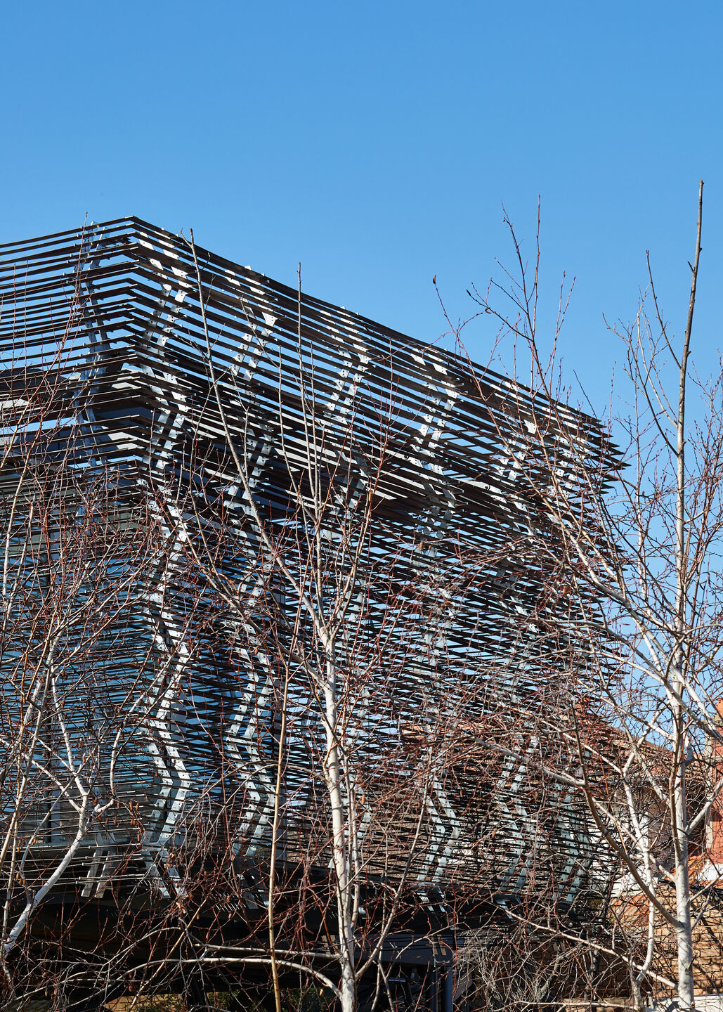 Gallery of The Compound House | MARCH STUDIO AUSTRALIA | Media - 3