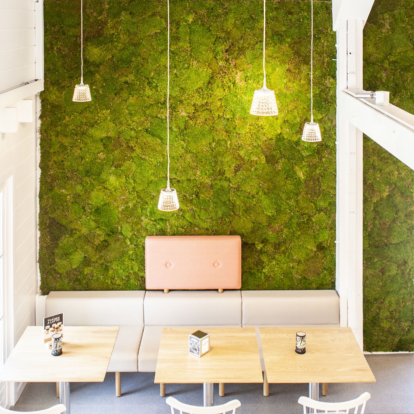 Soundless Acoustics sound-absorbing green wall with natural mummy-moss ...