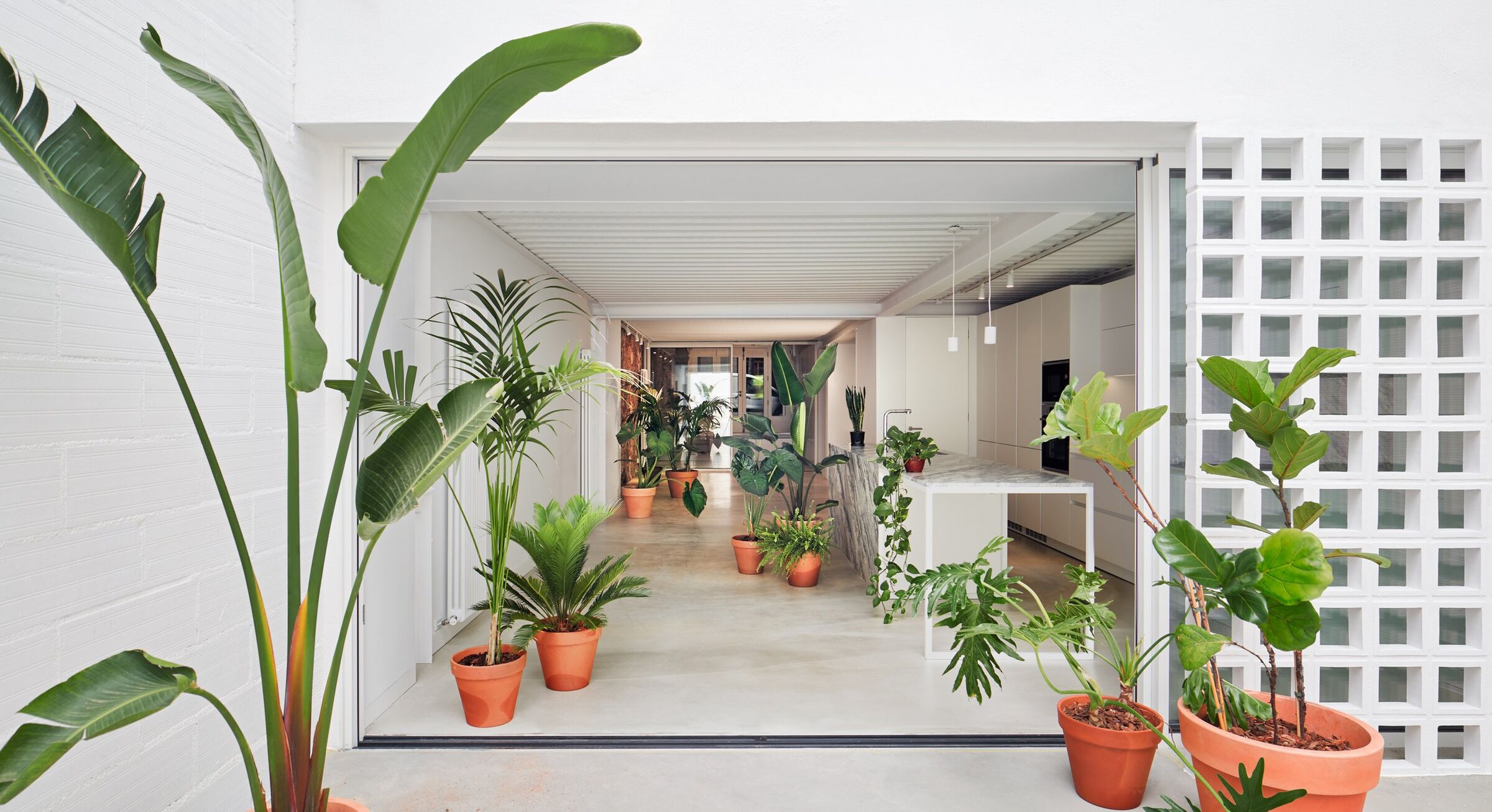 A house between party walls in Hostafrancs | estudi08014 | Archello