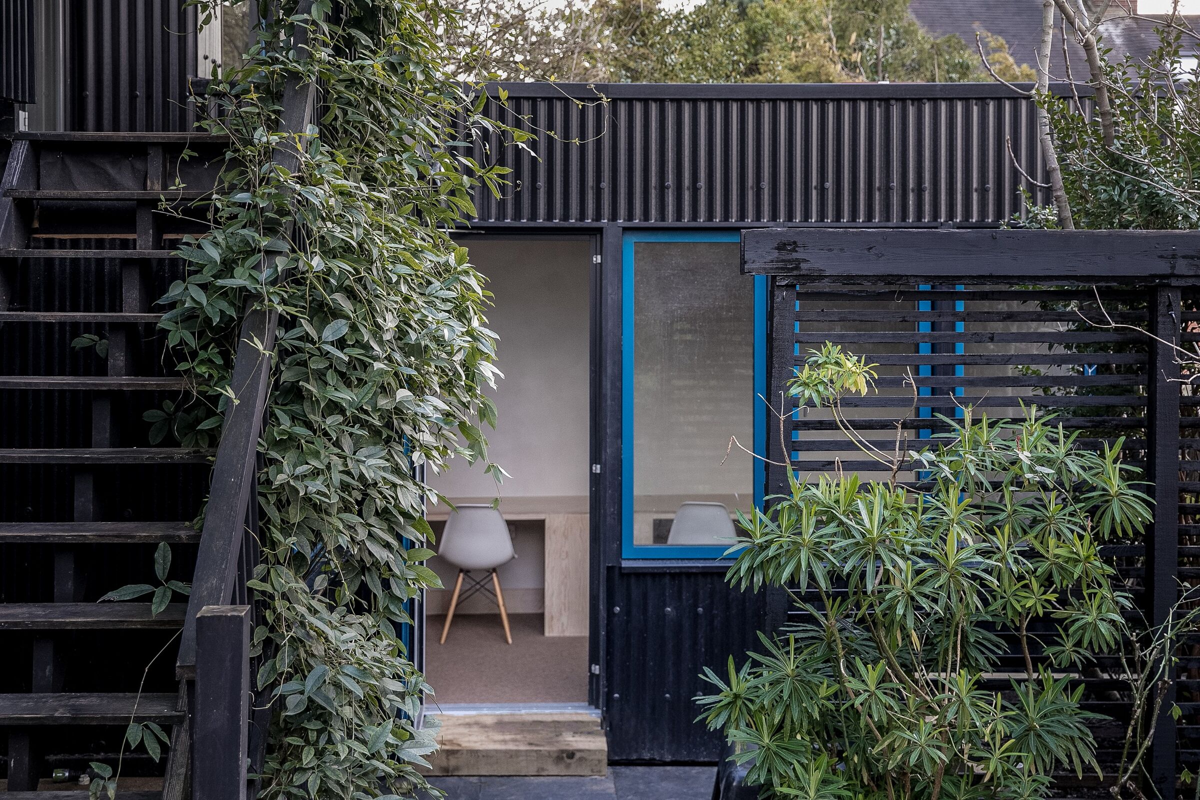 Segal House | Fraher & Findlay | Archello