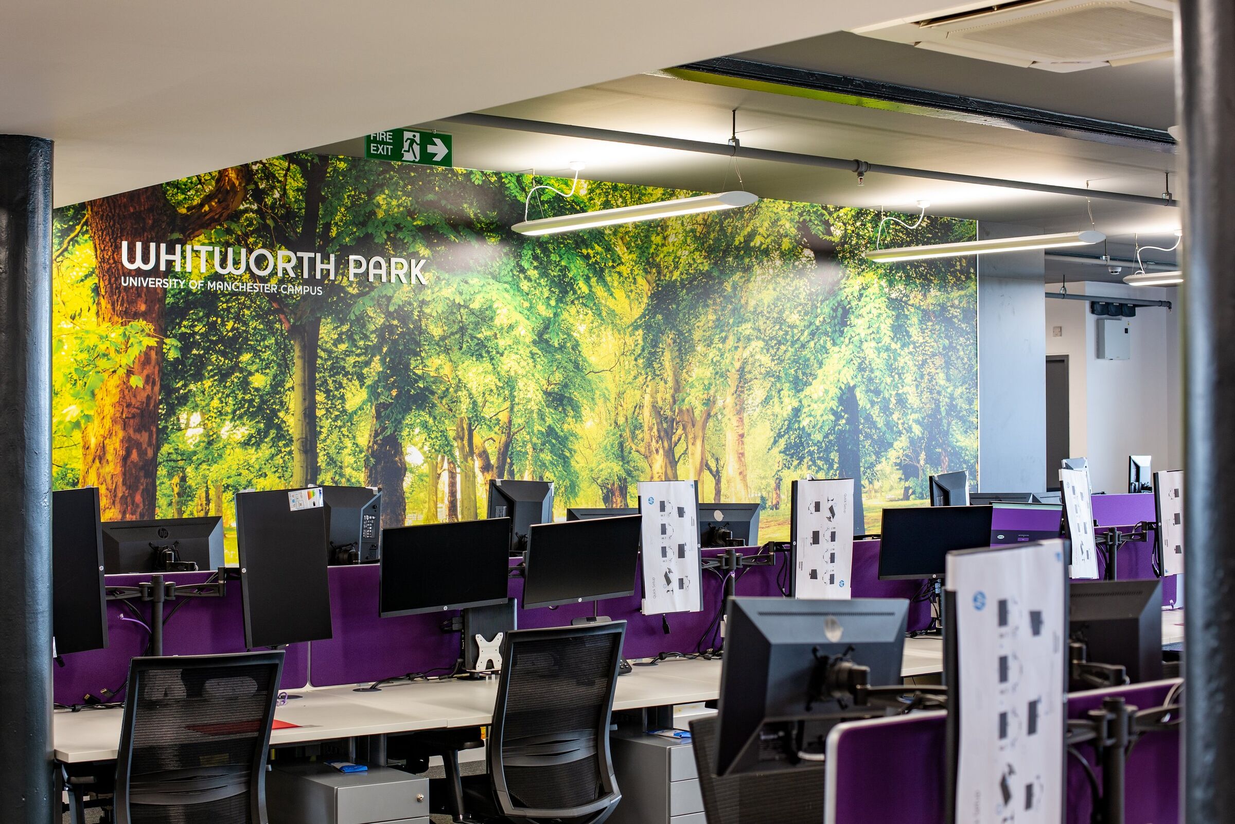 Gallery of Softcat Manchester Office | Peldon Rose | Media - 15