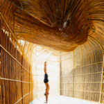 Enter Projects Asia | Archello