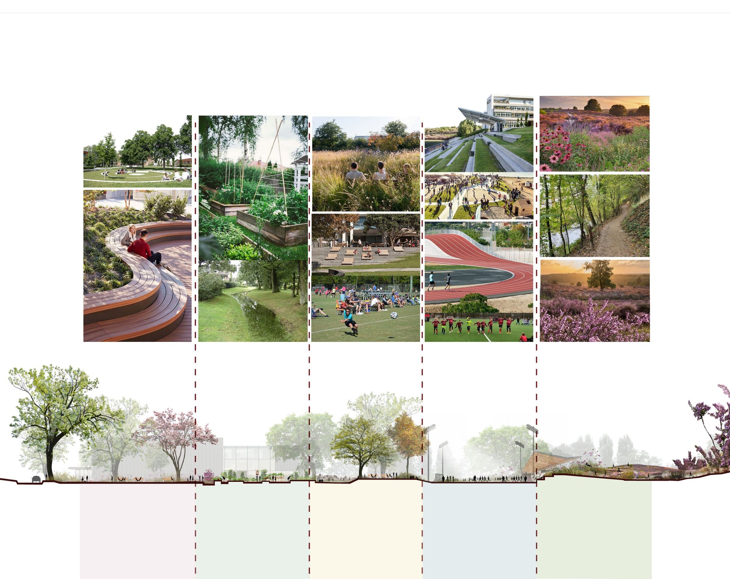 Gallery of Nature-inclusive school campus CSG Reggesteyn | NOAHH ...