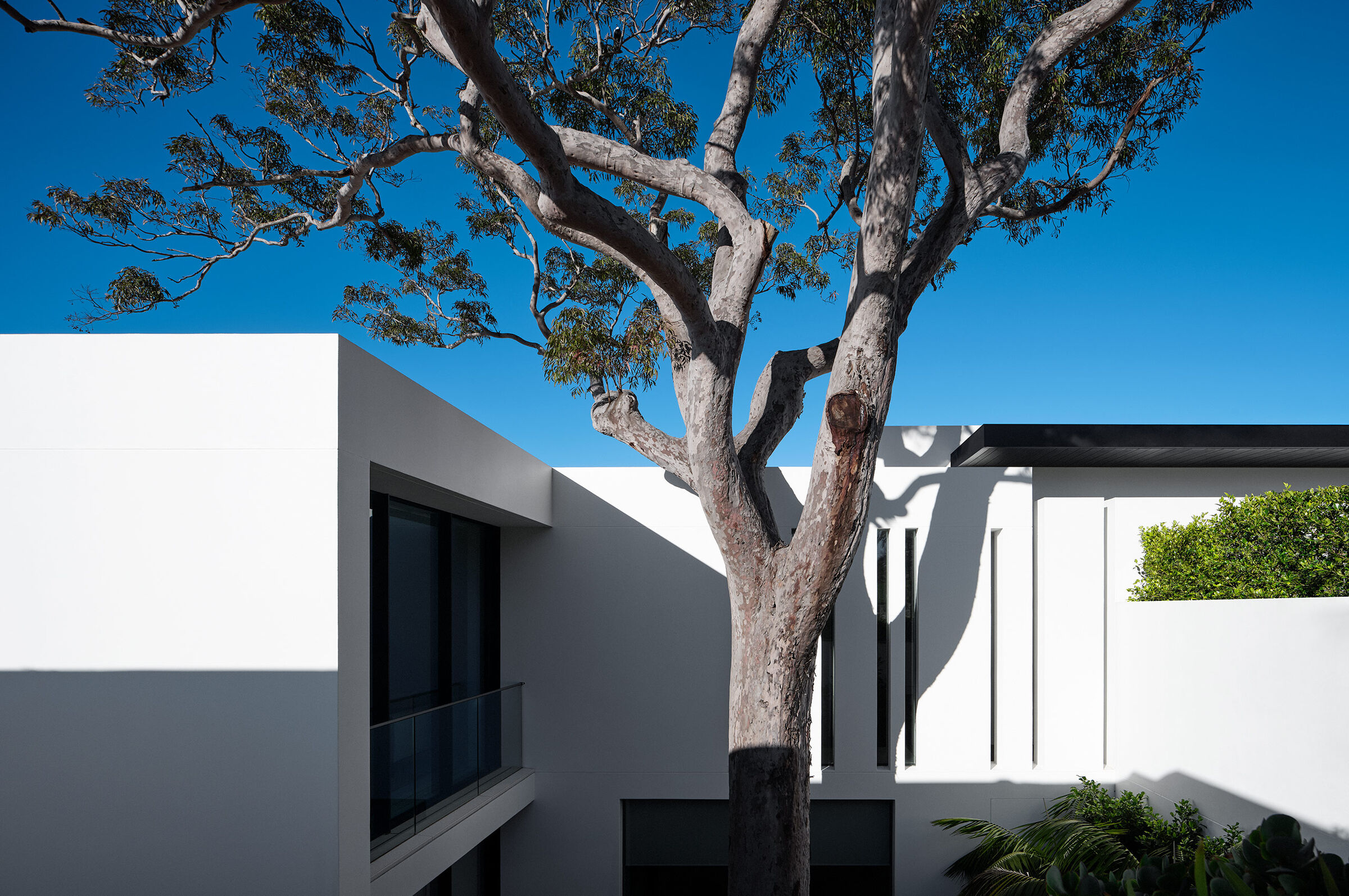 Mosman House | Mathieson Architects | Archello