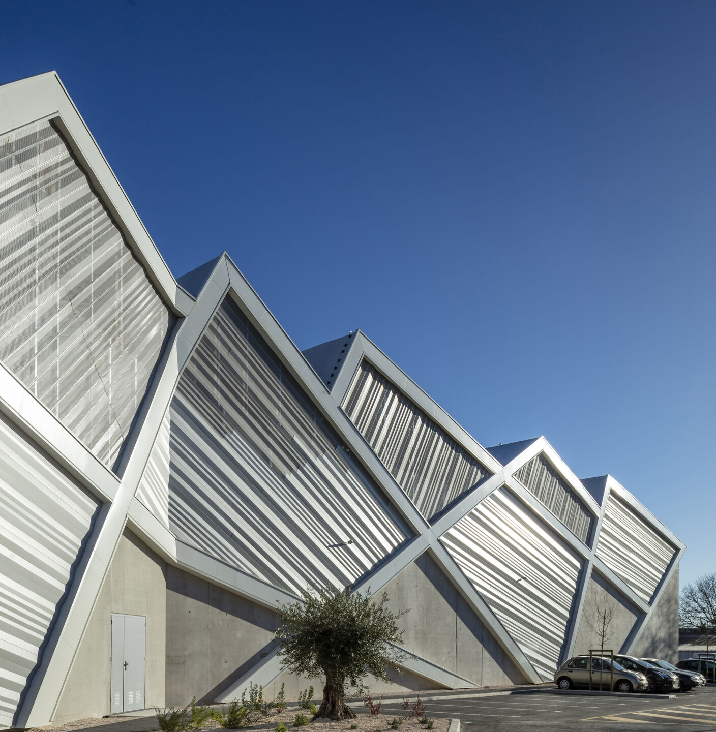 Gallery of Demeter | A+Architecture | Media - 2