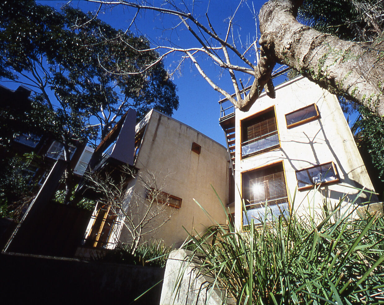 House Darling Point | Durbach Block Jaggers | Archello