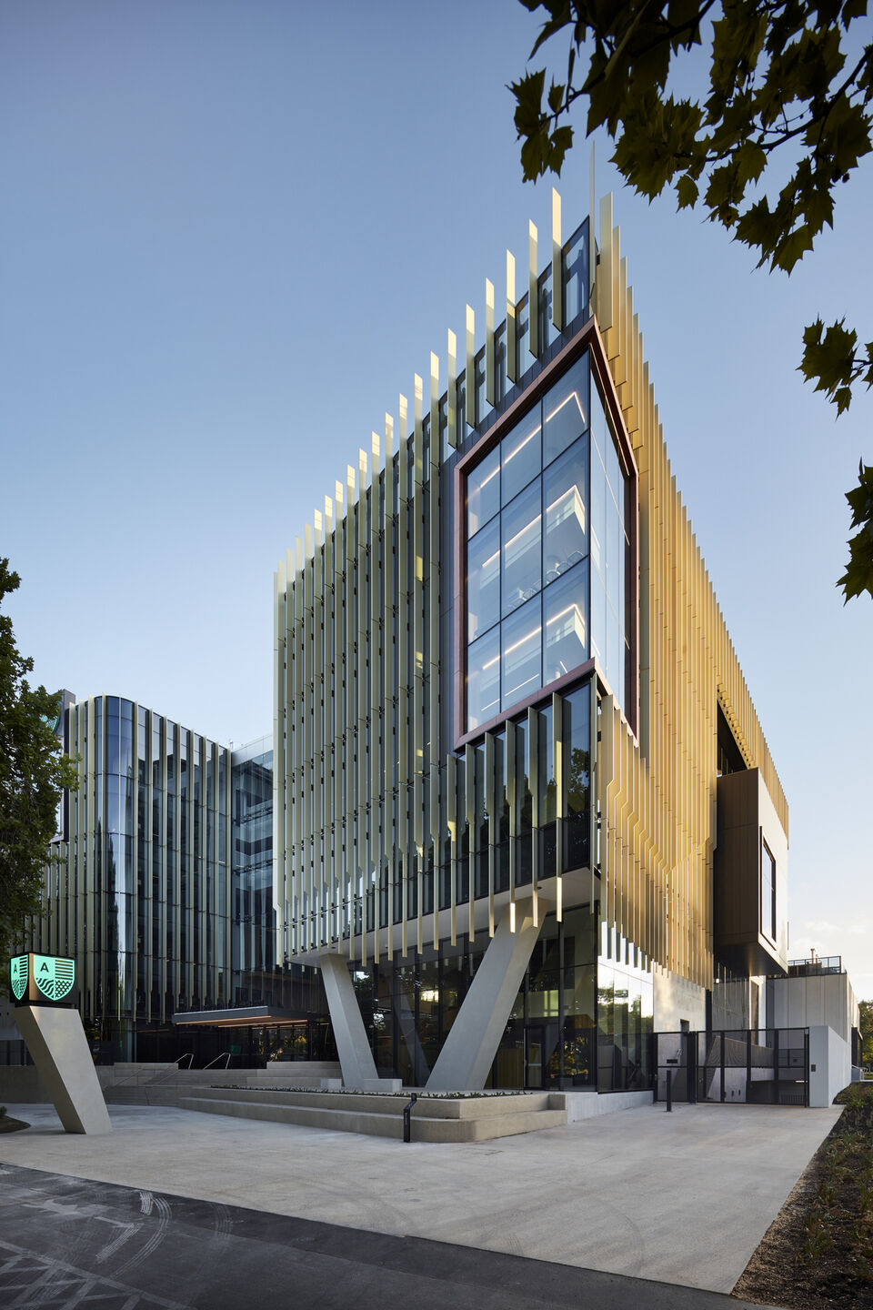 Gallery of Adelaide Botanic High School | Cox Architecture | Media - 4
