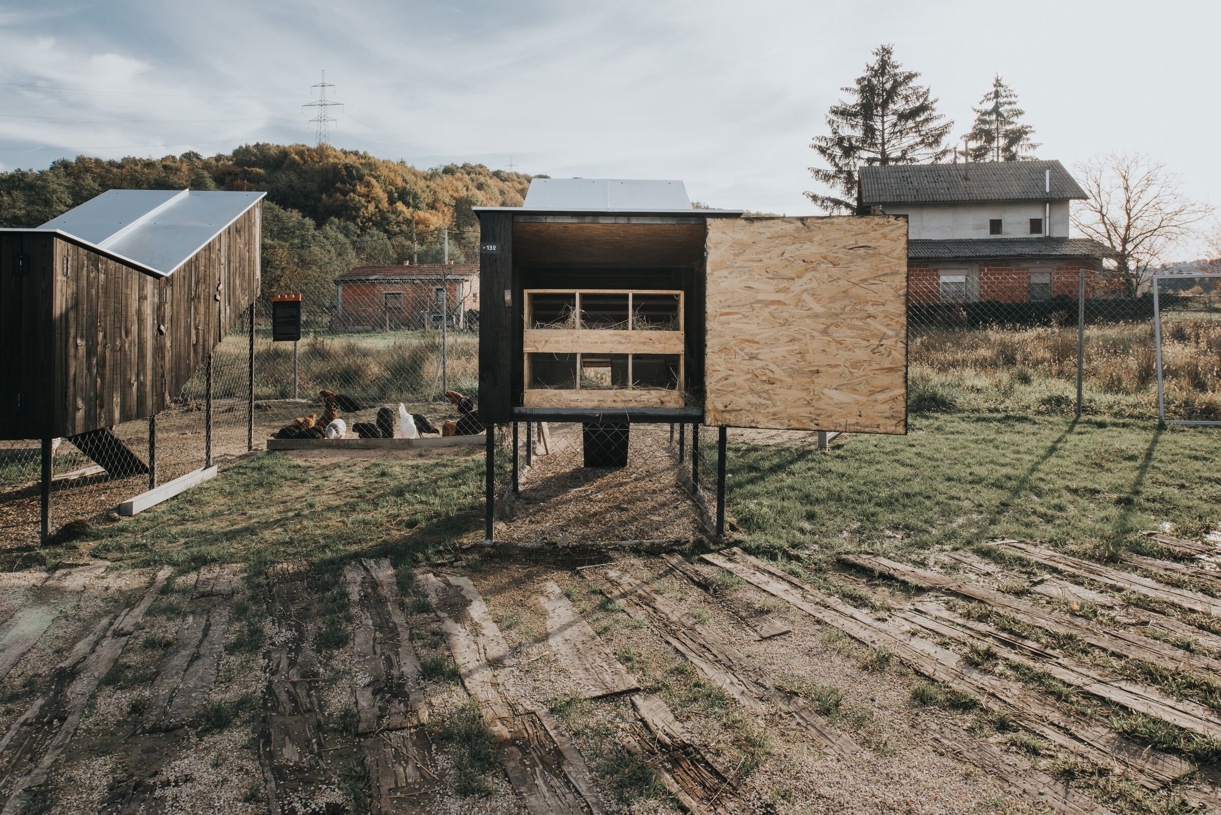 Gallery of Chickenville | SKROZ | Media - 2