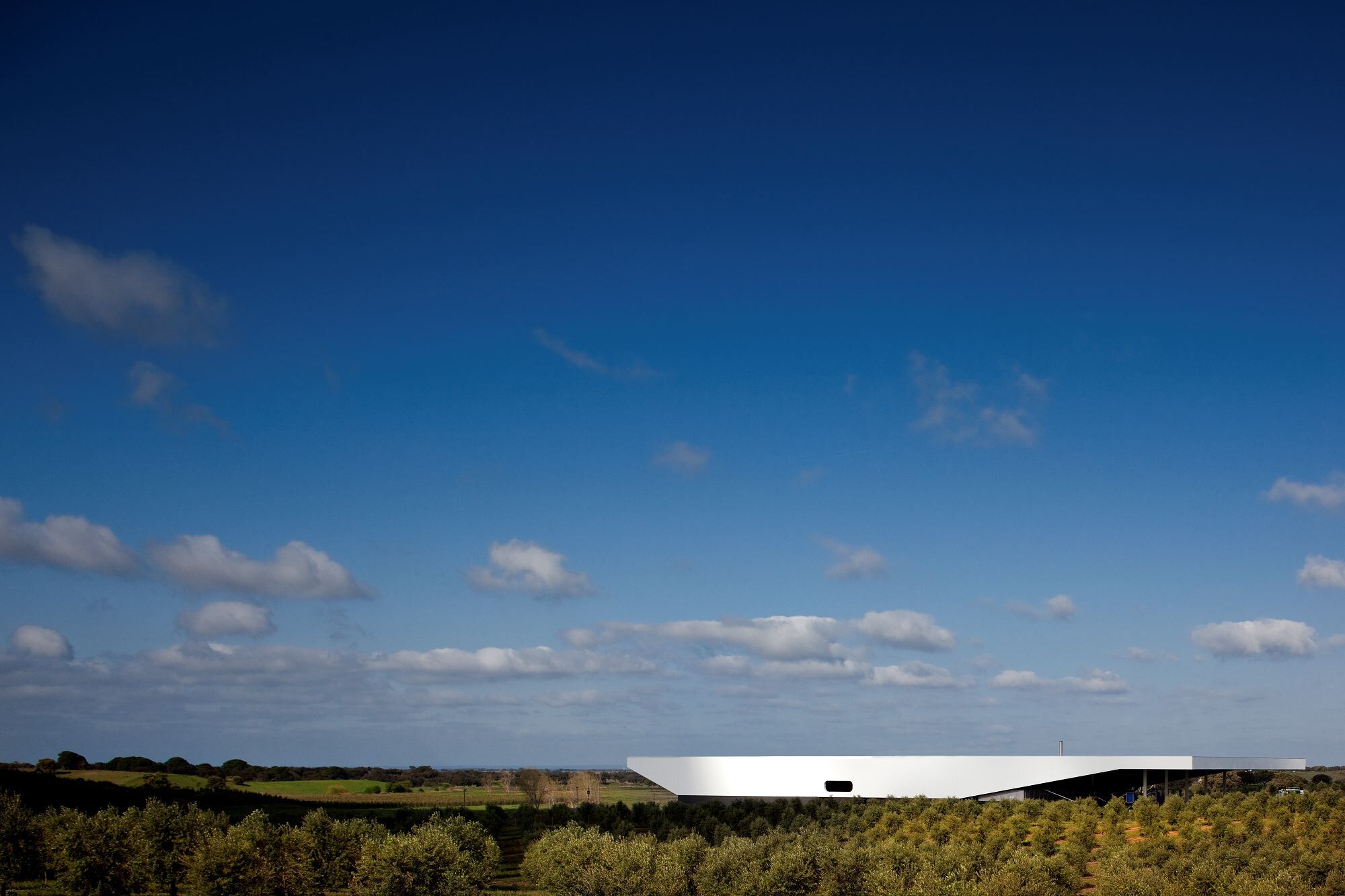 Gallery of Marmelo Olive Oil Mill | Bak Gordon Arquitectos | Médias - 6