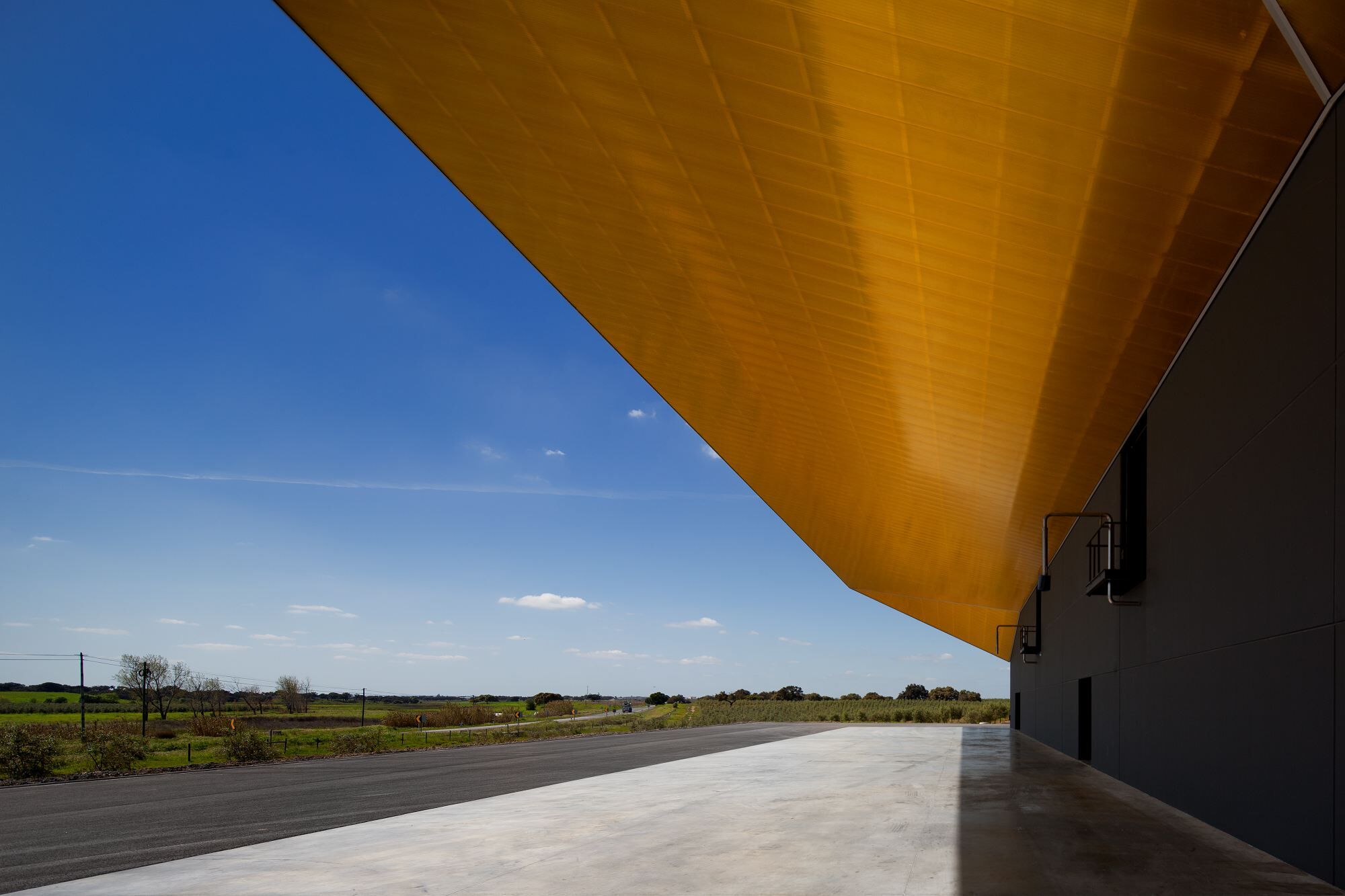 Gallery of Marmelo Olive Oil Mill | Bak Gordon Arquitectos | Médias - 11