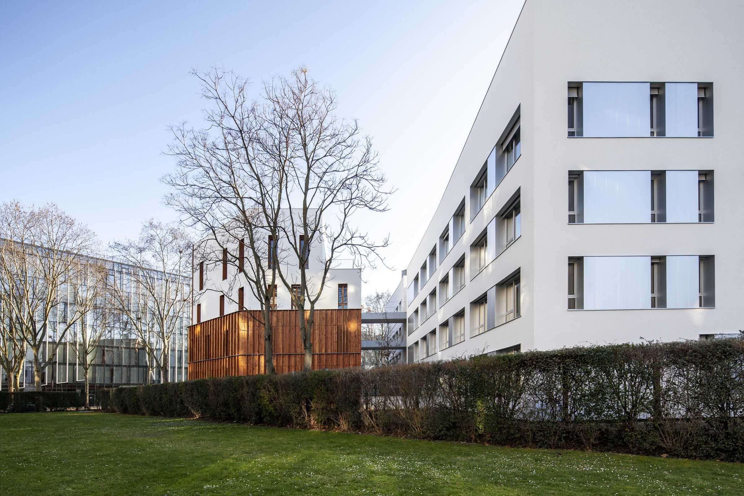 Gallery of Transformation of an office building into a 139 | NZI ...