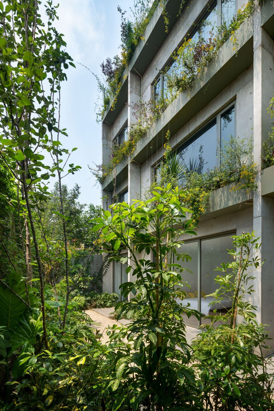 Gallery of DGB | ESTUDIO MMX | Media - 4