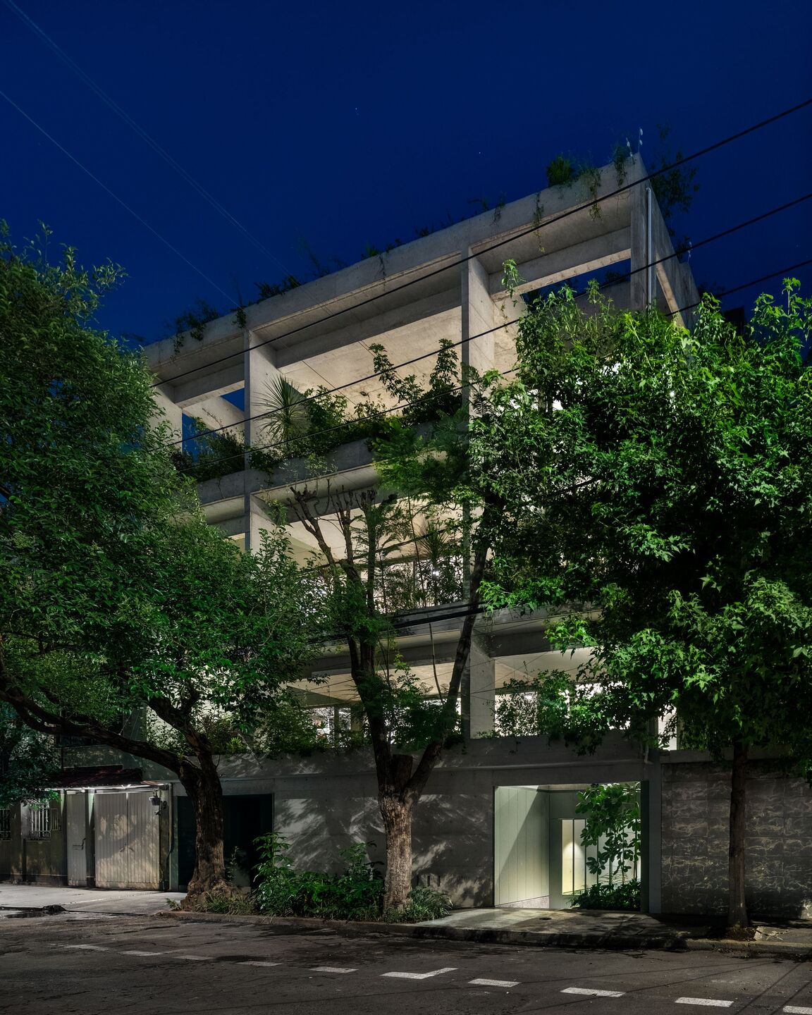 Gallery of DGB | Estudio MMX | Media - 6